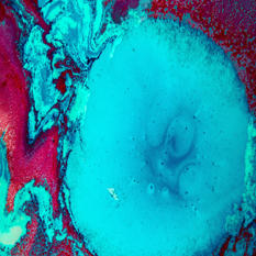 Jessica Kopf • Dahlem Research School • Freie Universität Berlin