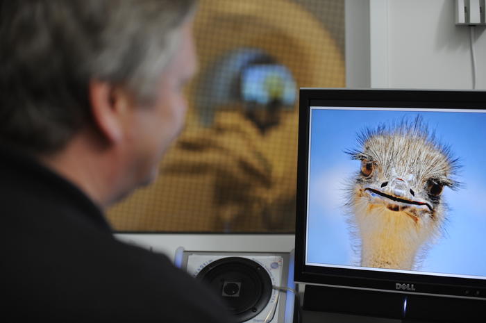 Service • Research • Freie Universität Berlin