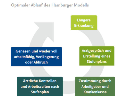 Stufenweise Wiedereingliederung • Personalentwicklung • Freie ...